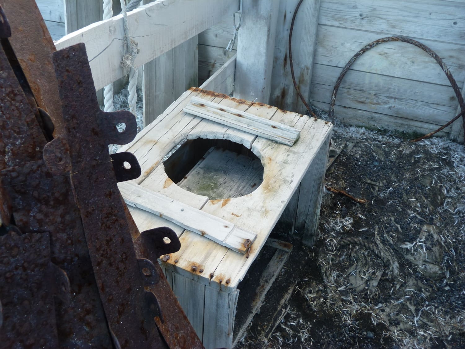 Expedition Blog - Maia Ingoe, Ross Sea 2025 | Antarctic Heritage Trust